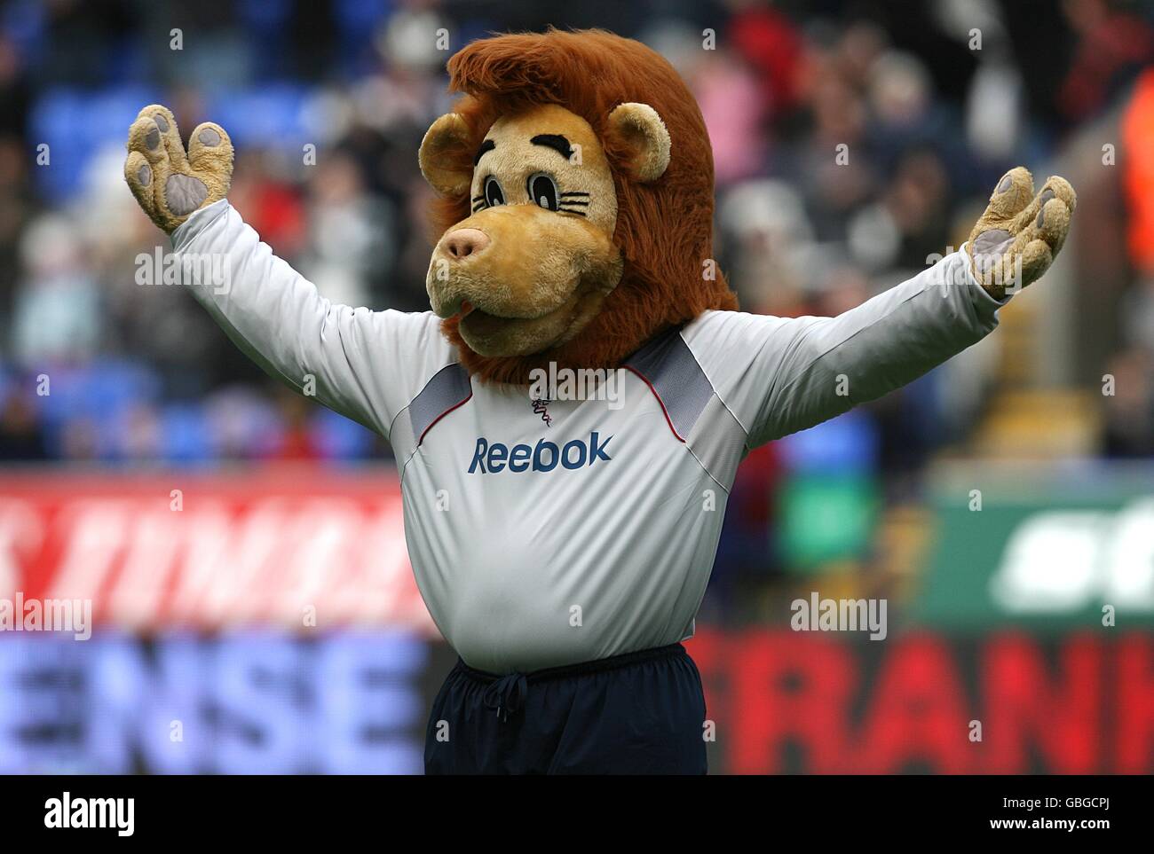 Bolton wanderers mascot lofty lion hi-res stock photography and images ...