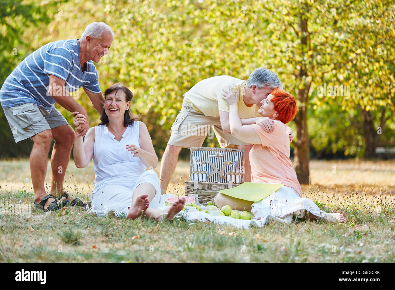 Group of senior citizens having fun during a picnic in the park in ...