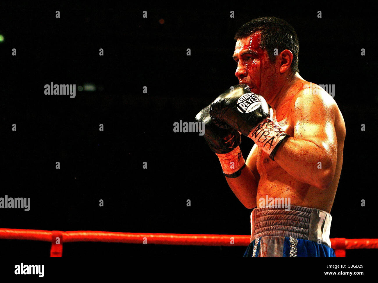 Boxing100yearsbook High Resolution Stock Photography and Images - Alamy