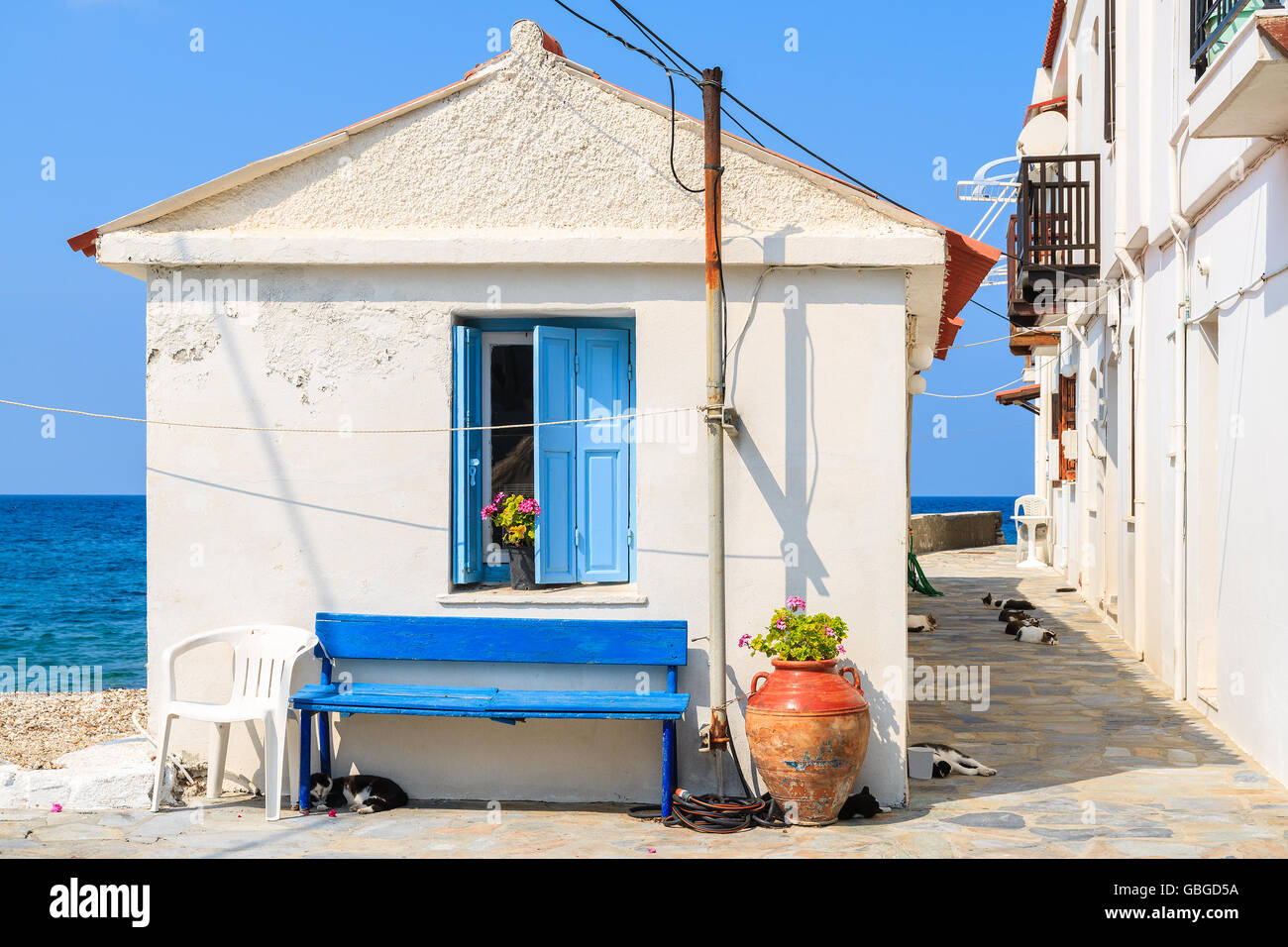 Typical white Greek house with cats sleeping in a shaded street ...