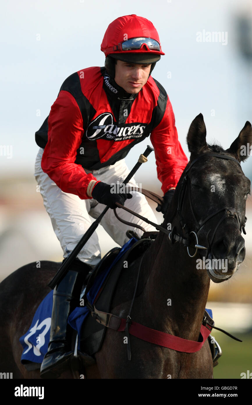 Horse Racing - Hereford Racecourse Stock Photo - Alamy