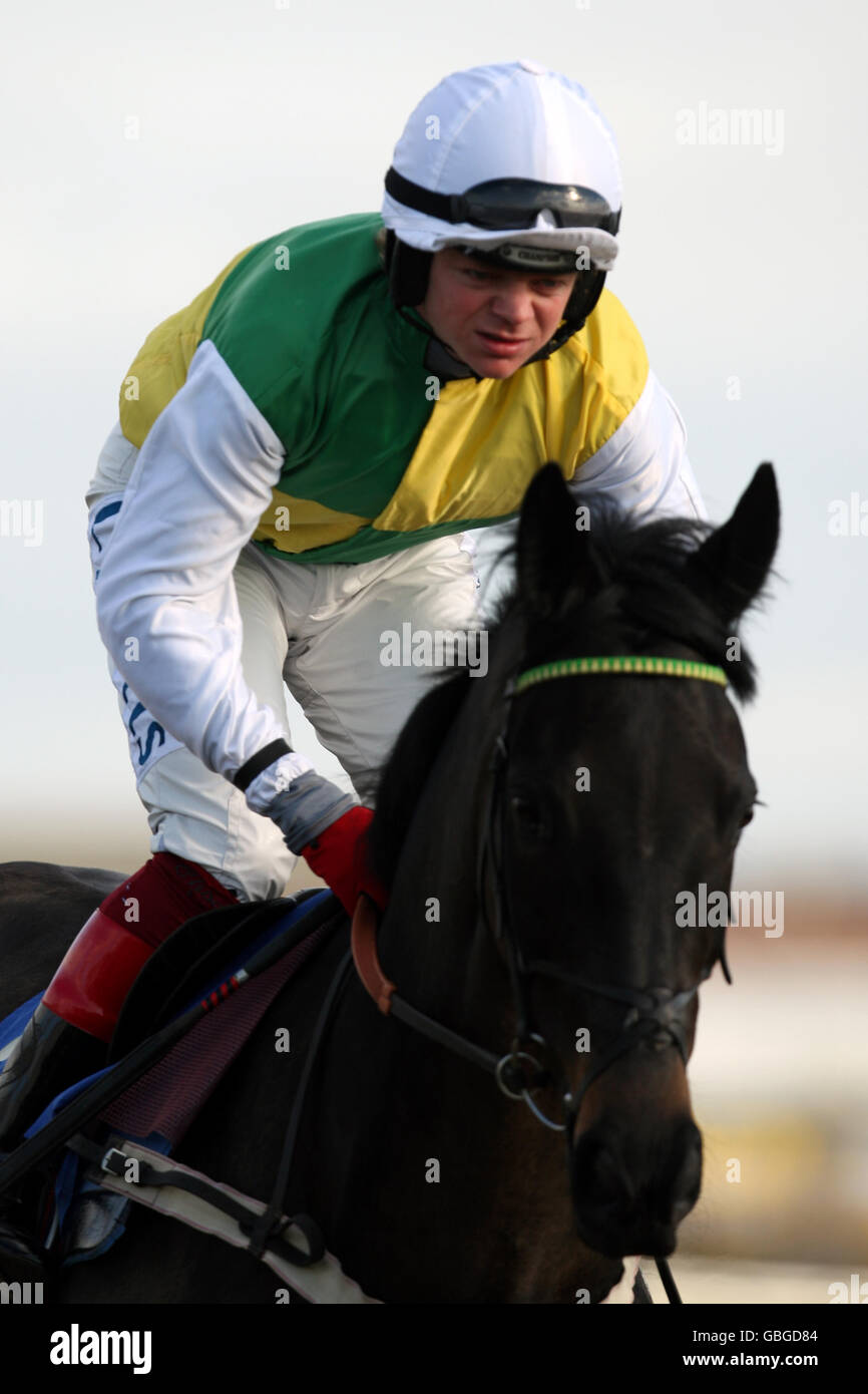 Horse Racing - Hereford Racecourse Stock Photo - Alamy