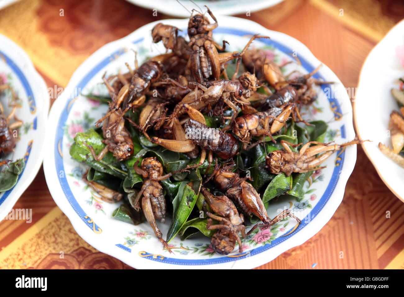 fry insects at a traditional Market in the city of Vientiane in Lao in ...
