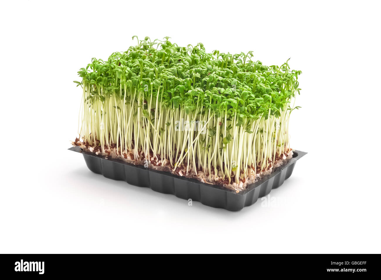 cress sprouts isolated on white Stock Photo - Alamy