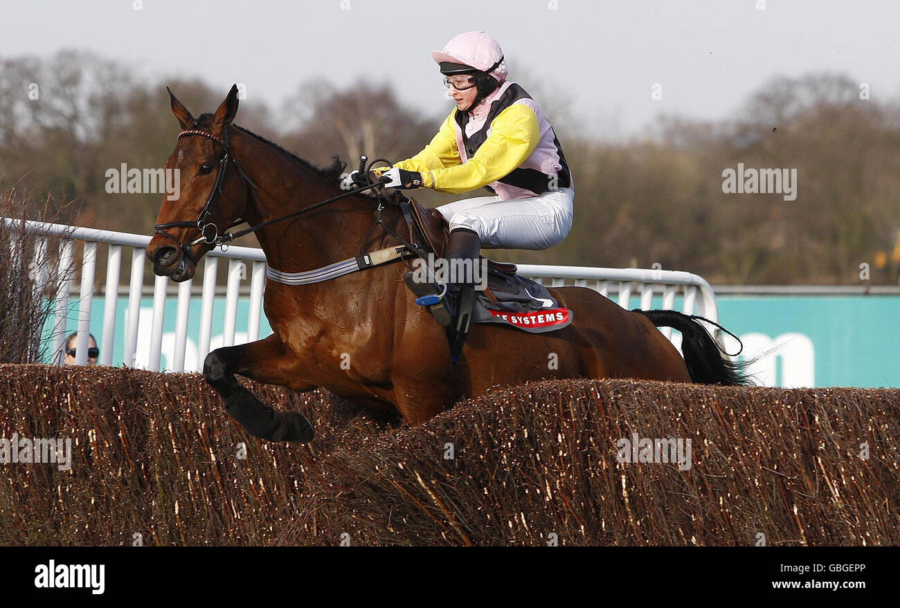 Horse racing sandown park racecourse hi-res stock photography and ...