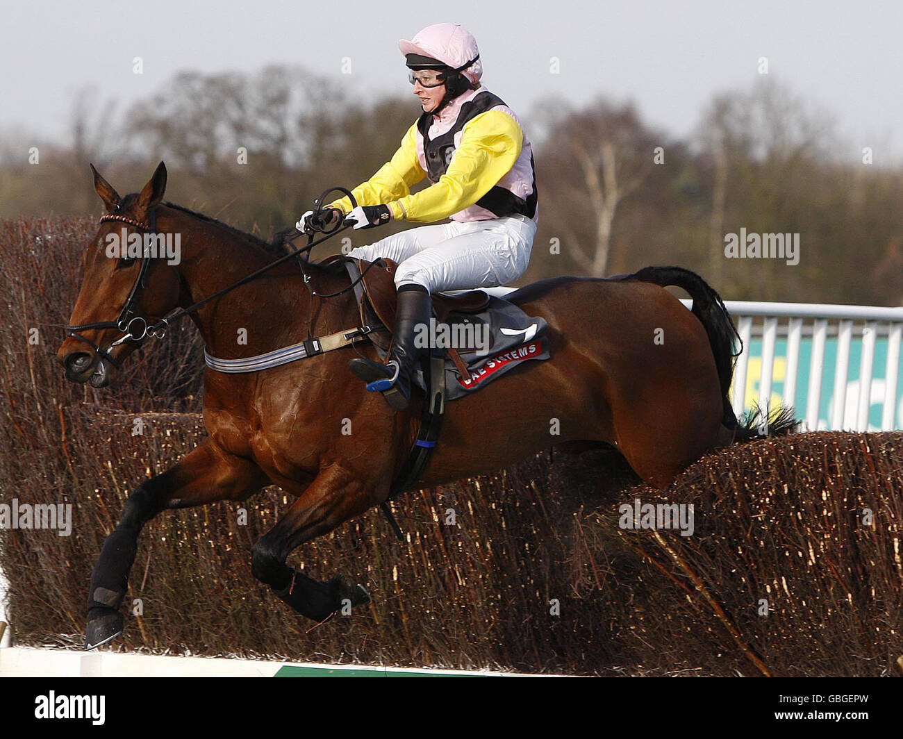 Horse racing sandown park racecourse hi-res stock photography and ...