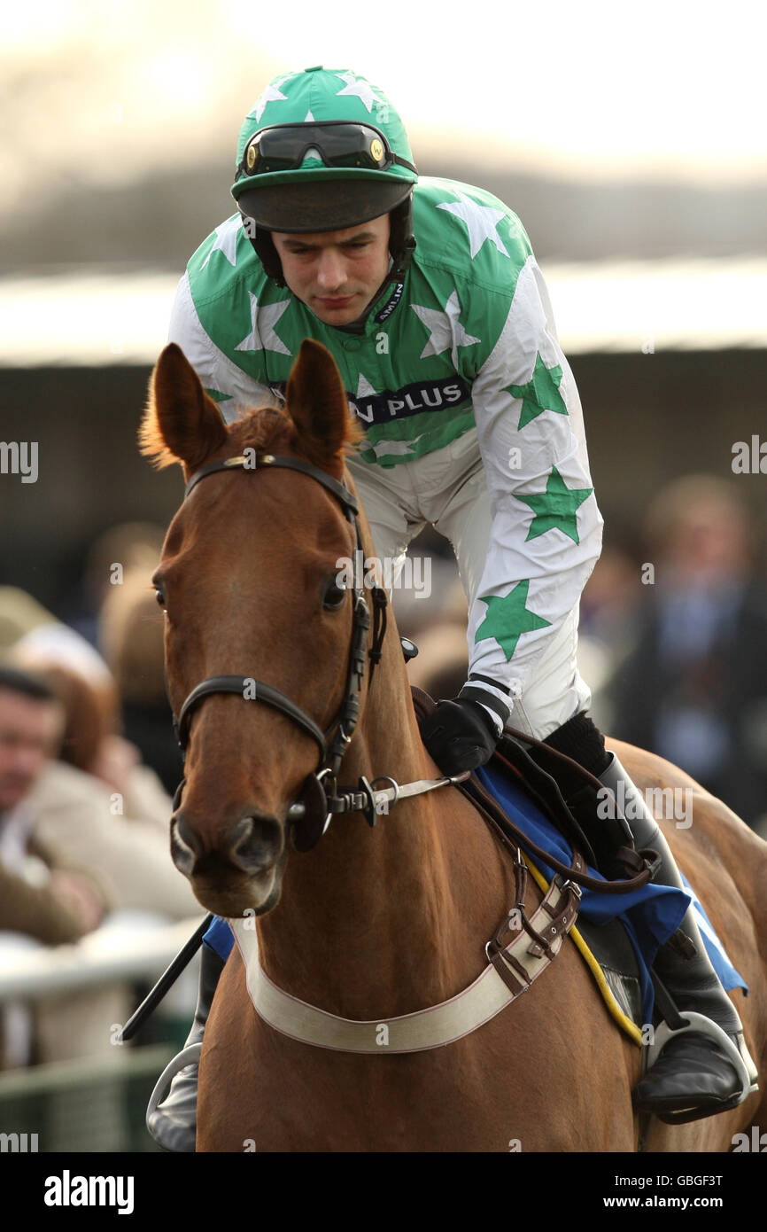 Horse Racing - Warwick Racecourse. New Team ridden by Robert Walford ...