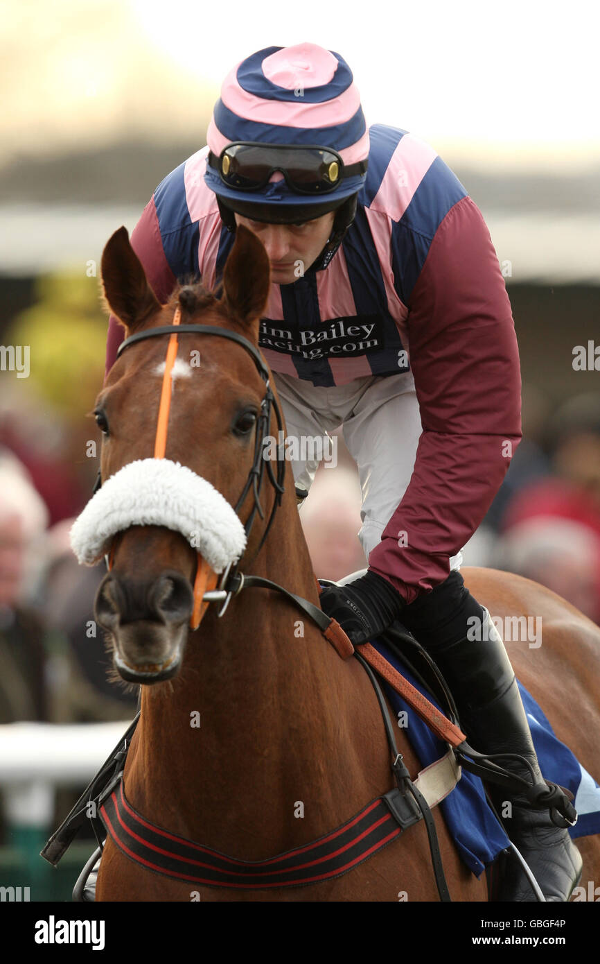 Horse Racing - Warwick Racecourse Stock Photo - Alamy