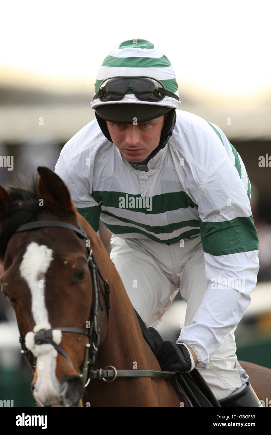 Horse Racing - Warwick Racecourse Stock Photo - Alamy