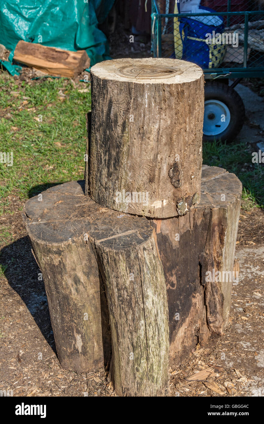 Cut log ready to be split for firewood Stock Photo - Alamy