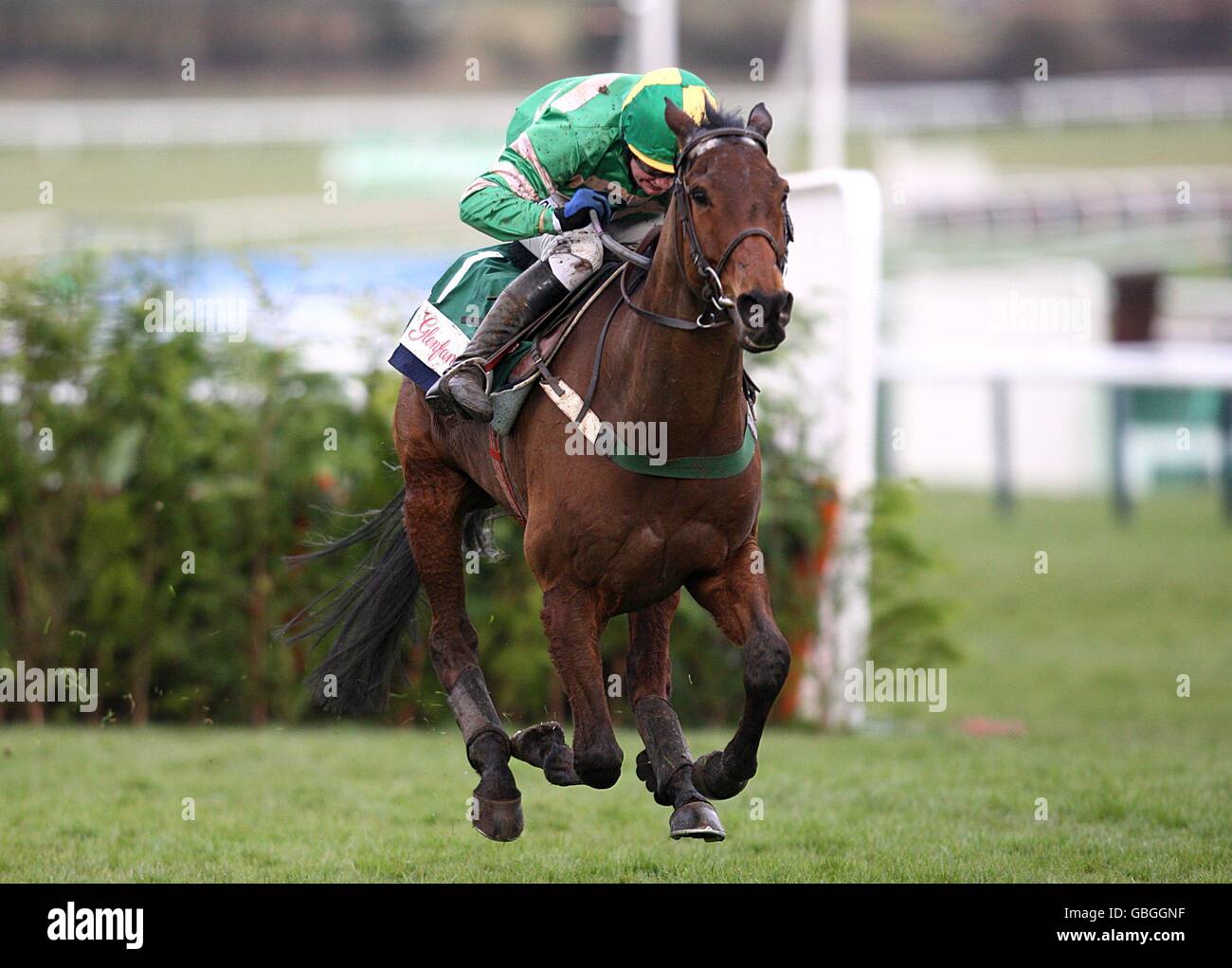 Horse Racing - Cheltenham Festival 2009 - Day One - Cheltenham ...