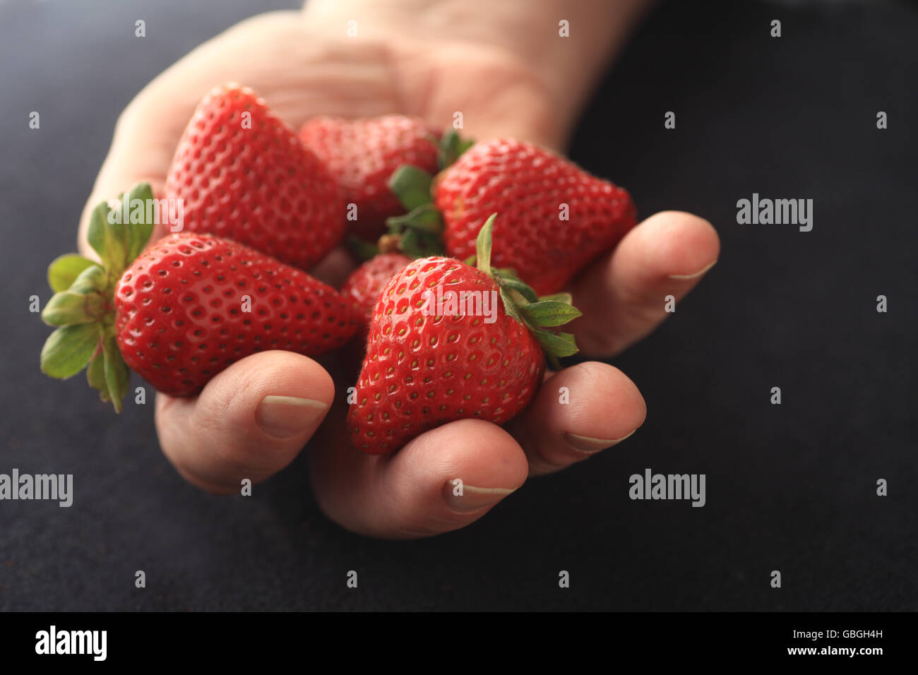 A man holds fresh, ripe strawberries in his hand on a black background ...