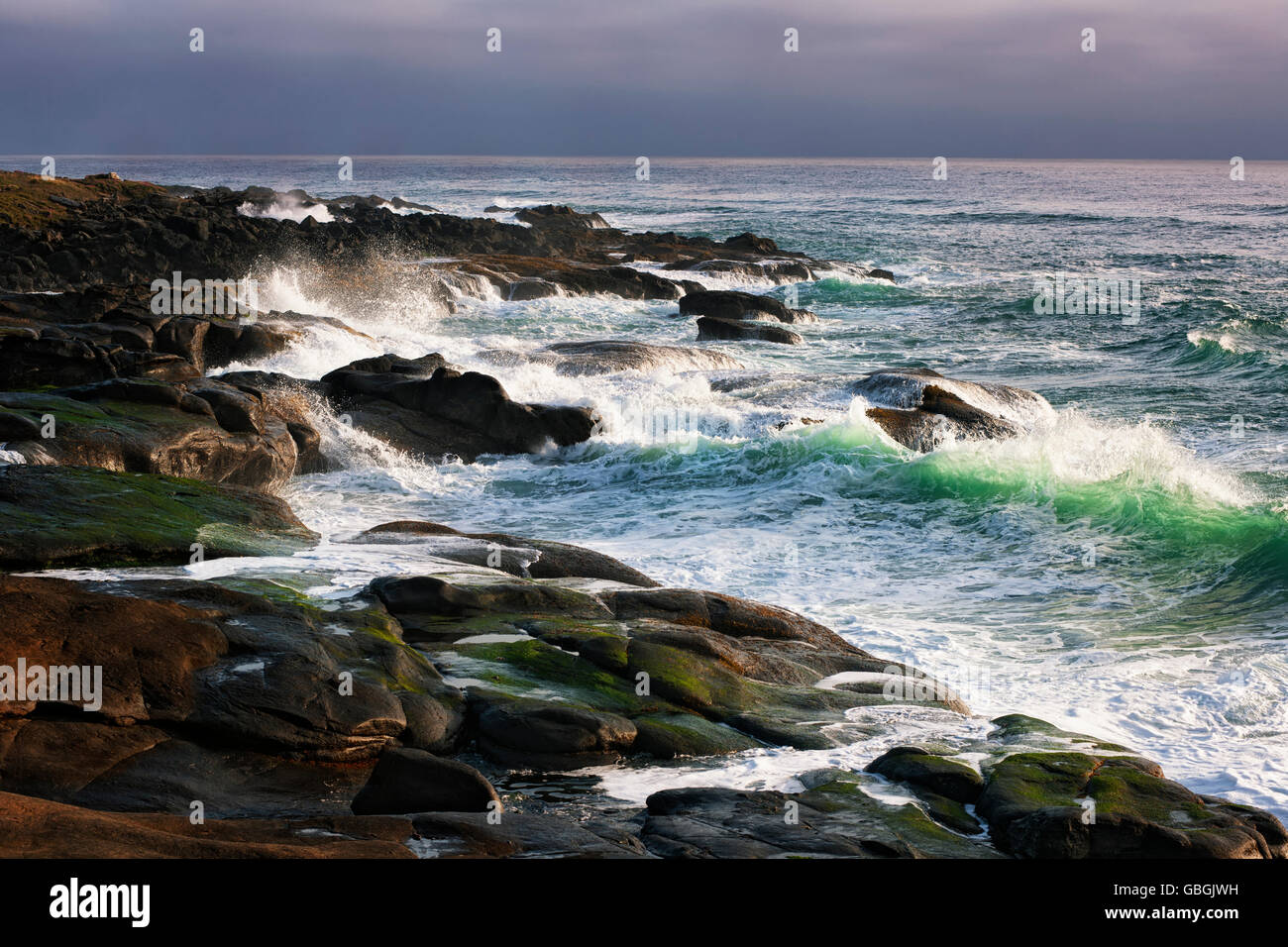 Evening light reveals crashing waves and high surf pounding the basalt ...