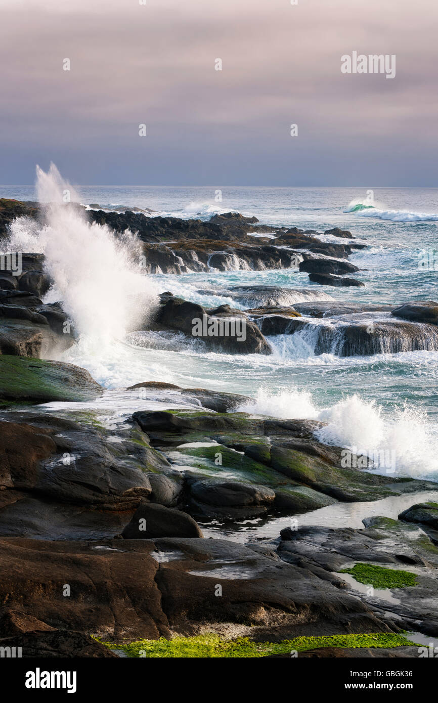 Evening light reveals crashing waves and high surf pounding the basalt ...