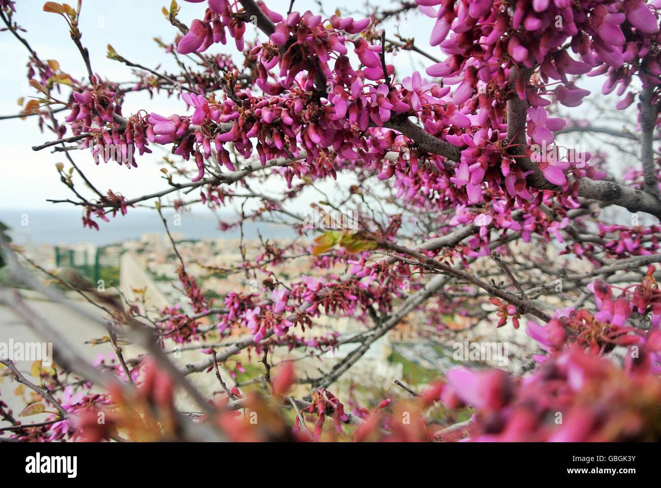 Coastal marseille view hi-res stock photography and images - Alamy