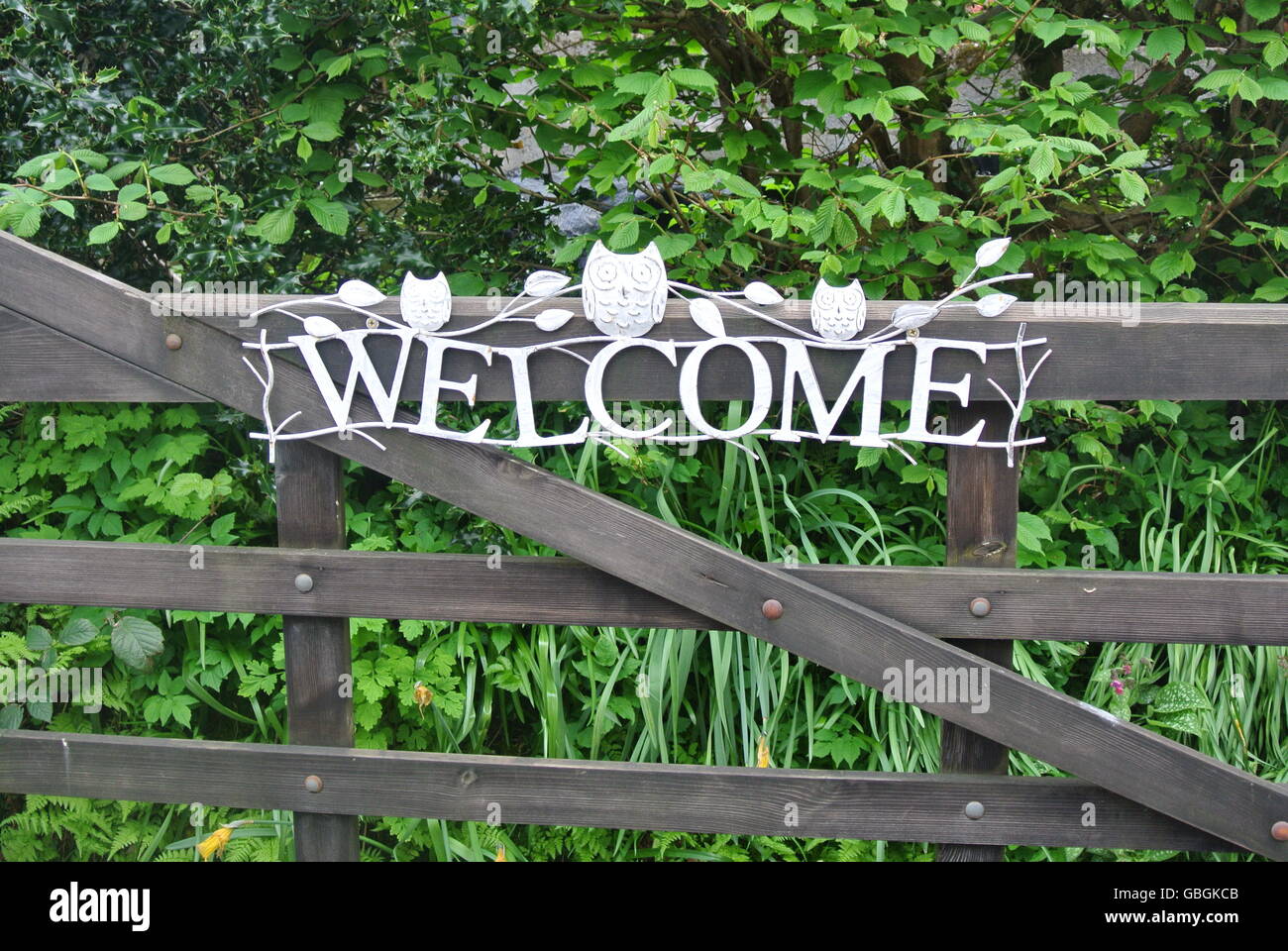 Welcome to nature hi-res stock photography and images - Alamy