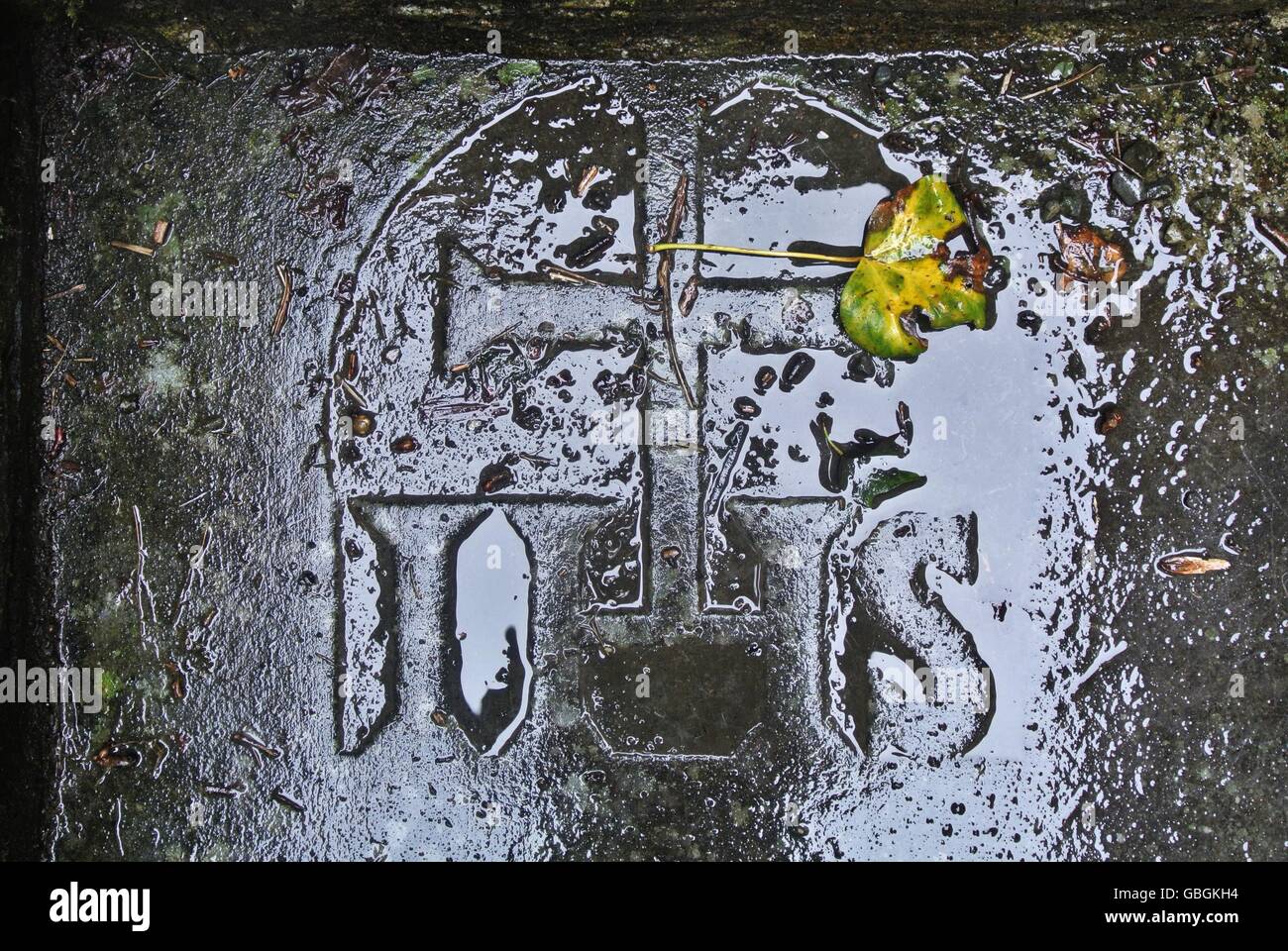 Irish gravestone hi-res stock photography and images - Alamy