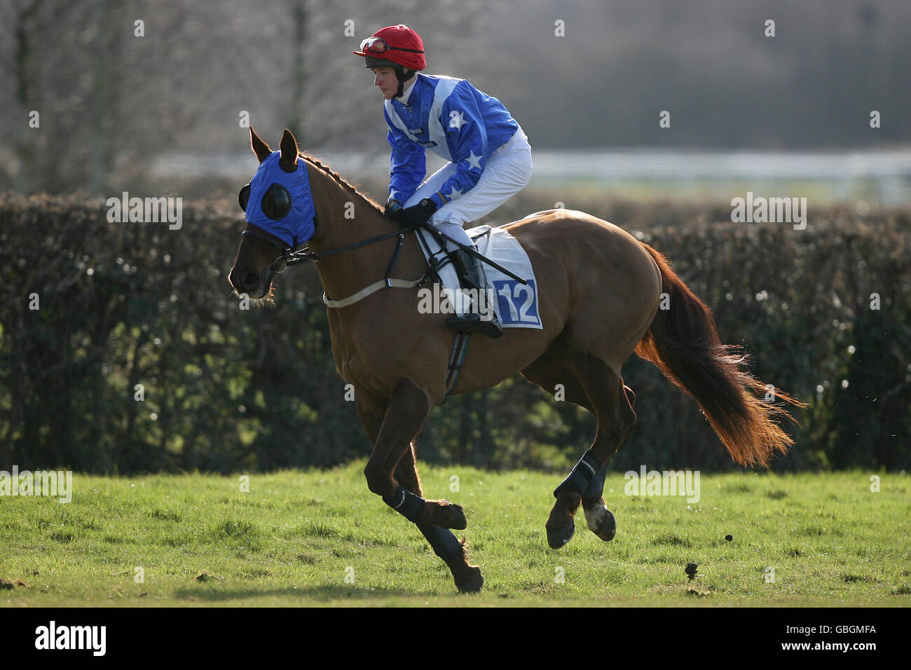 Horse Racing - Leicester Races Stock Photo - Alamy