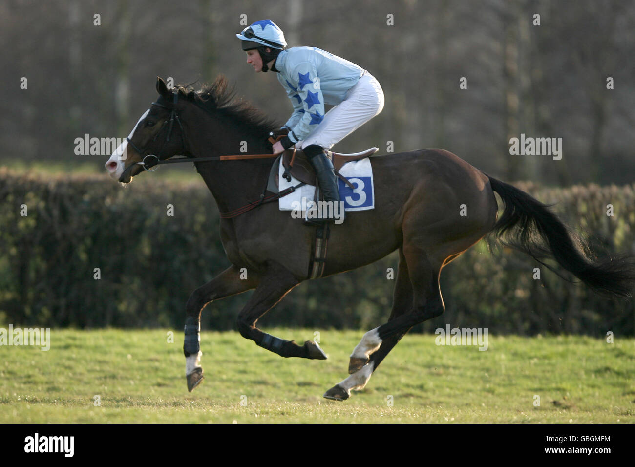 Horse Racing - Leicester Races Stock Photo - Alamy