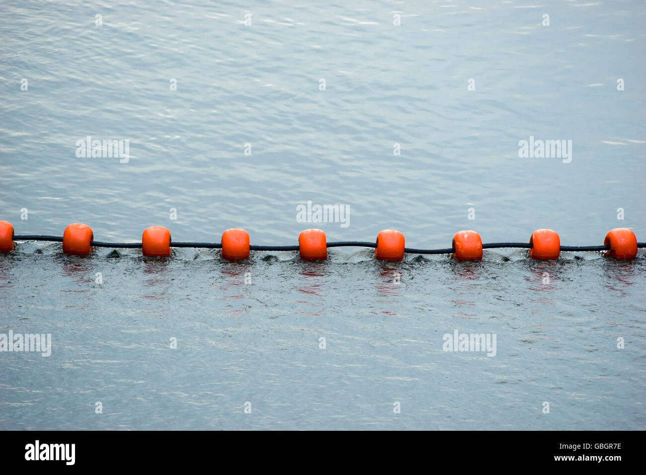Orange buoys line floating on water Stock Photo - Alamy