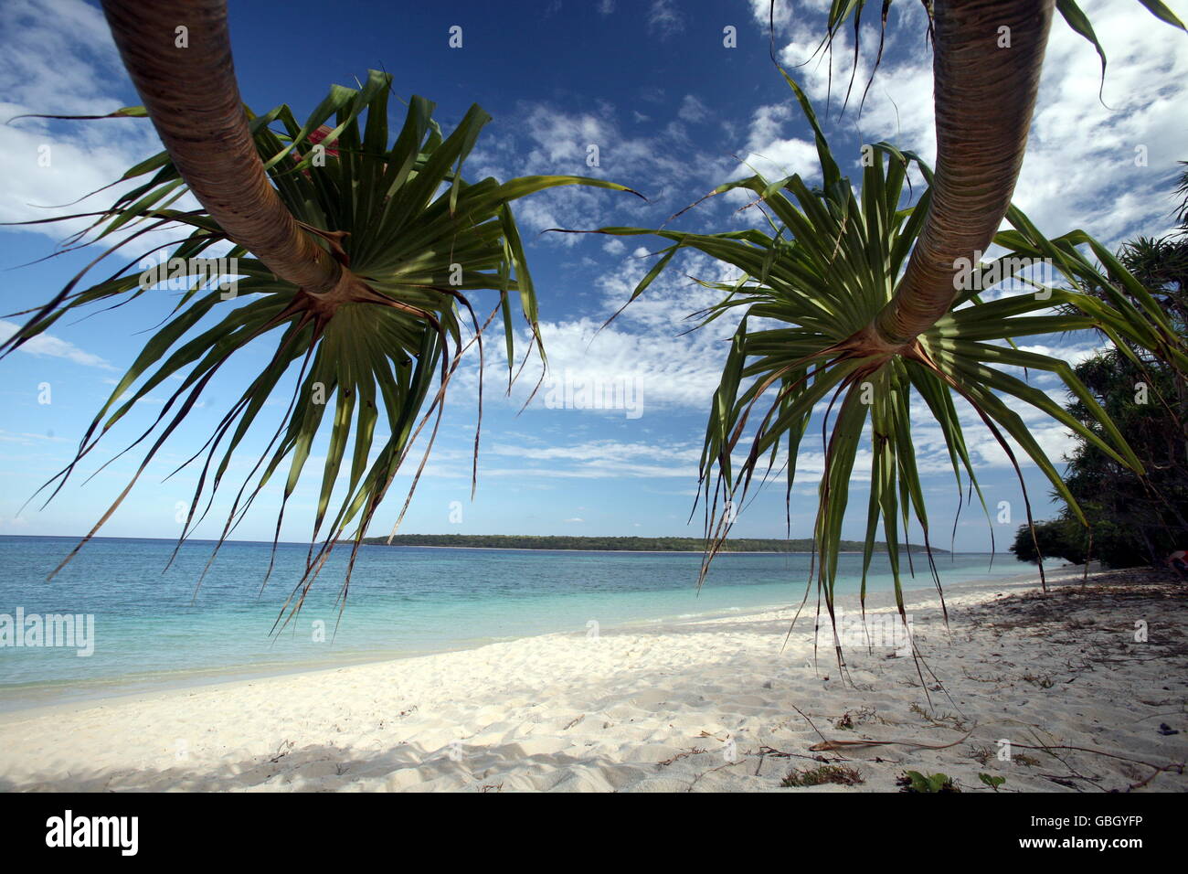 Jaco island timor hi-res stock photography and images - Alamy