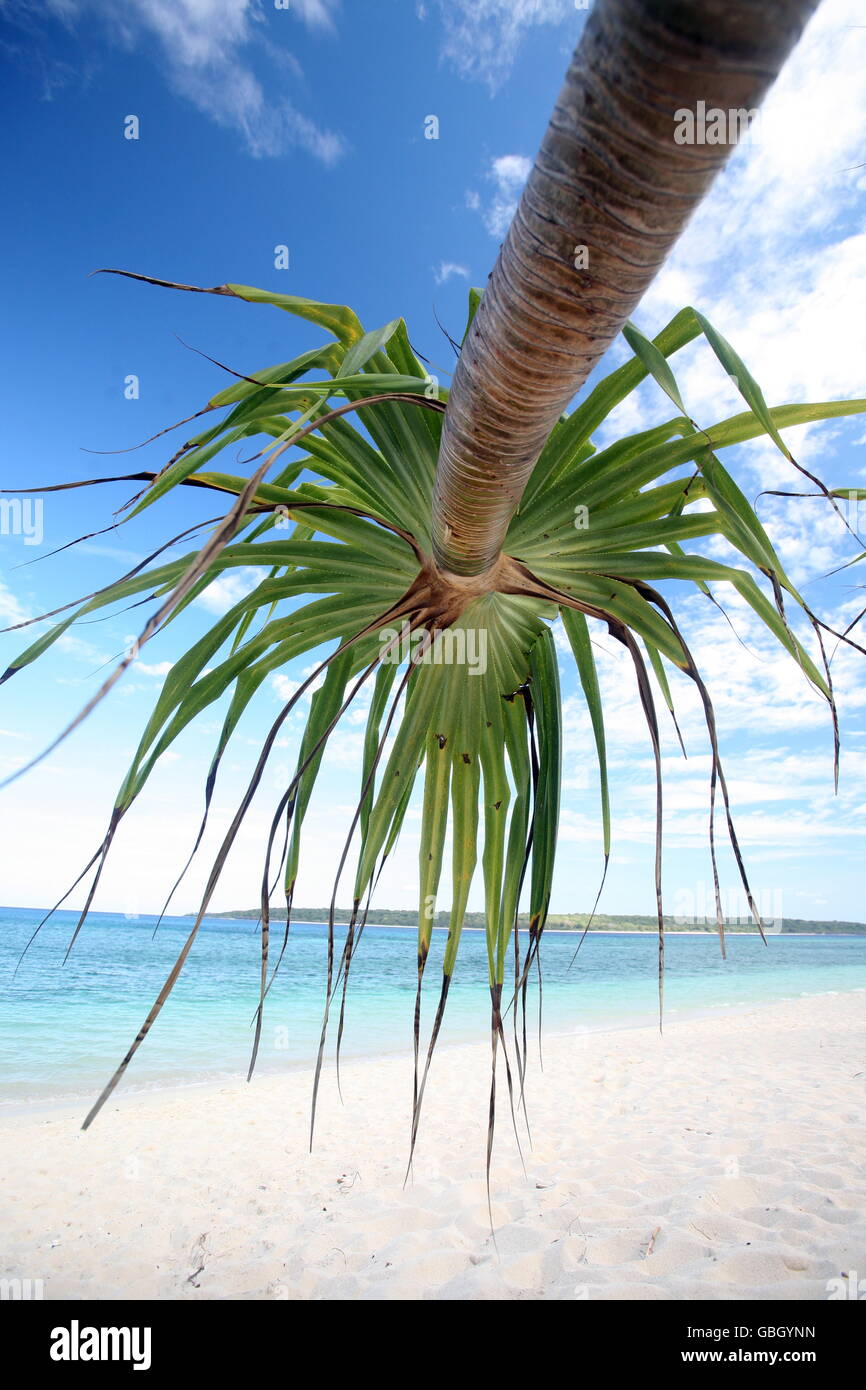 the dreambeach at the Jaco Island at the town of Tutuala in the east of ...