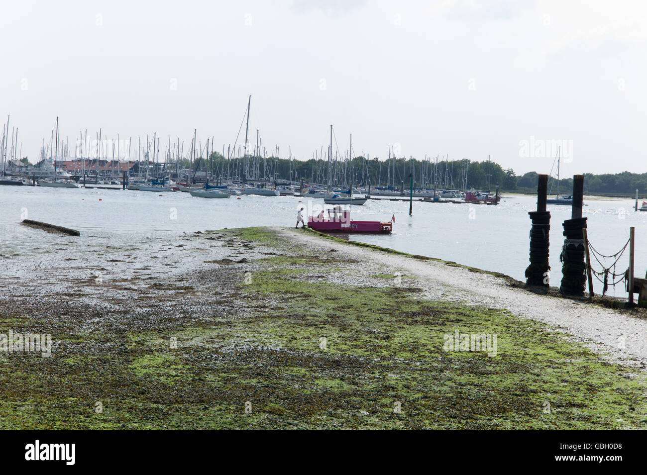Hamble river ferry Stock Photo - Alamy
