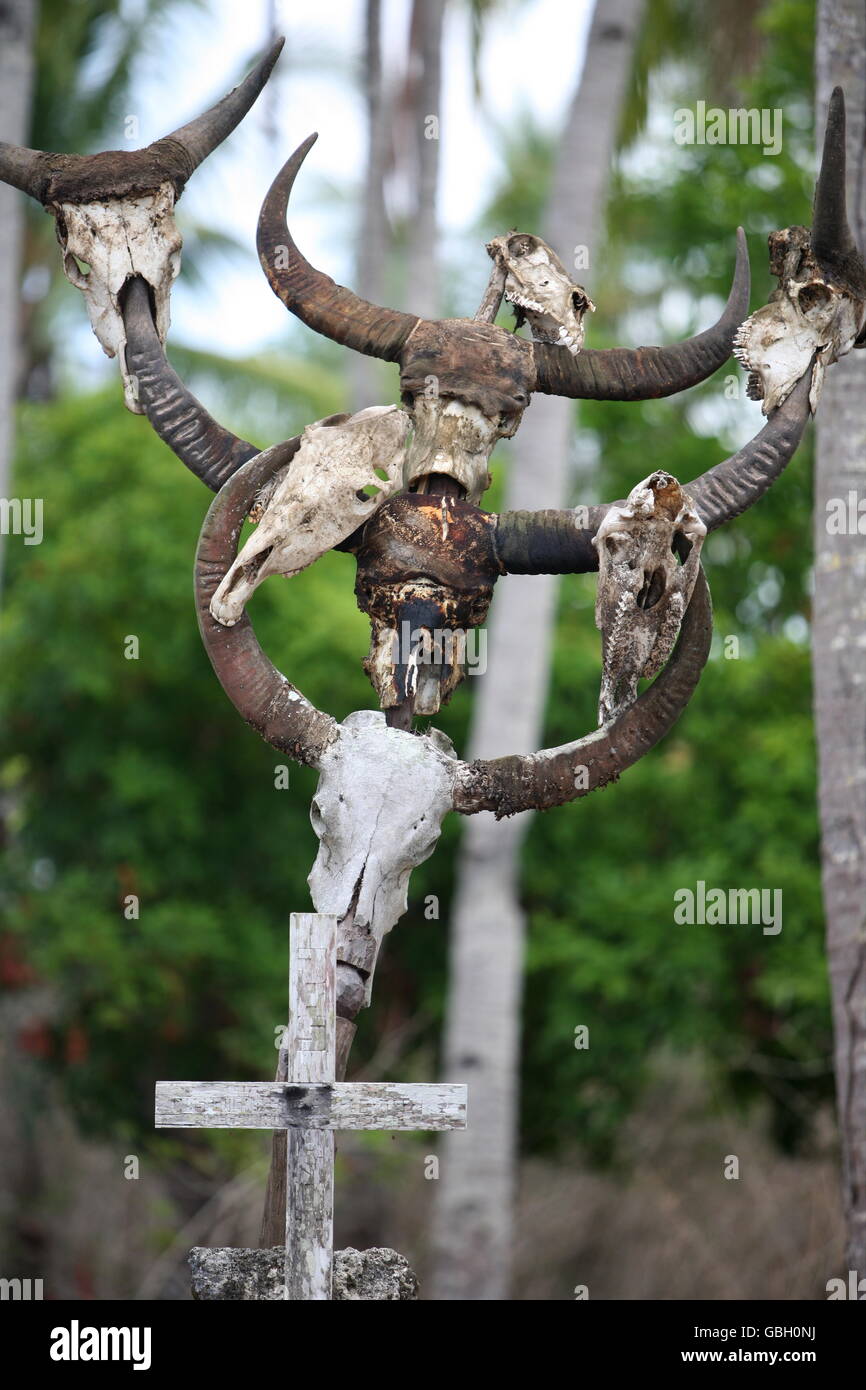 a traditional graveyard at the village of Raca in the east of East ...