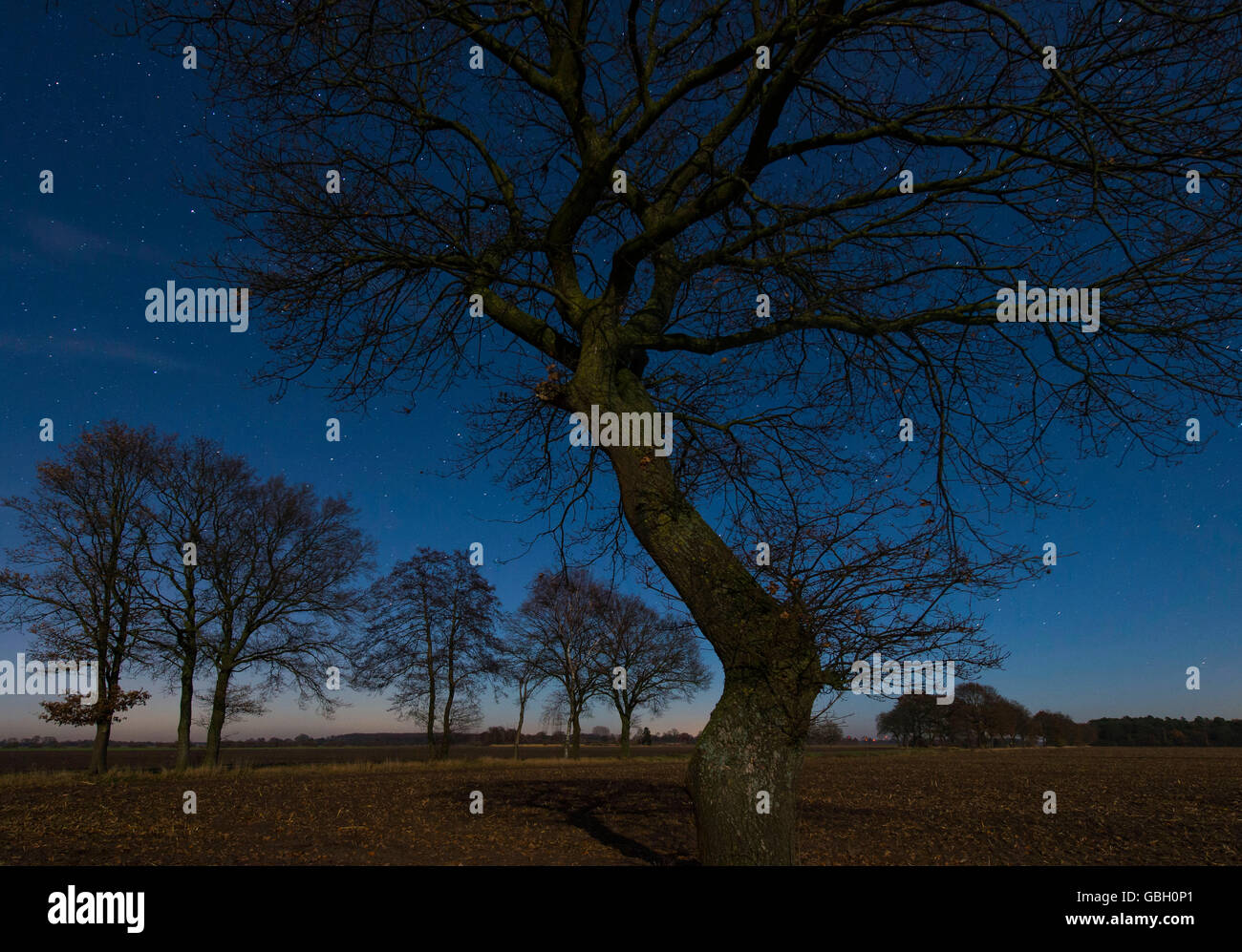 Starry night sky germany hi-res stock photography and images - Alamy