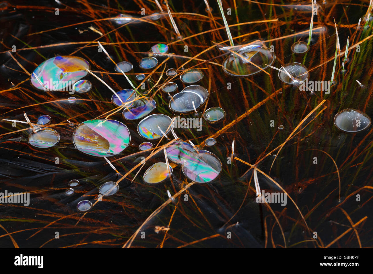 Bubbles In Puddle High Resolution Stock Photography and Images - Alamy