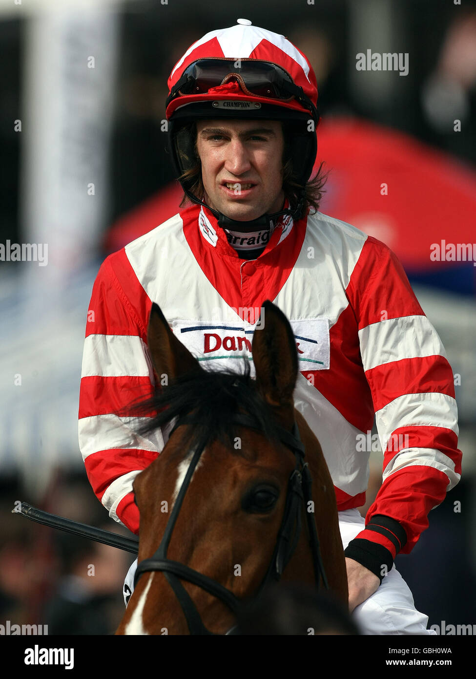 Horse Racing - Cheltenham Festival 2009 - Day One - Cheltenham ...