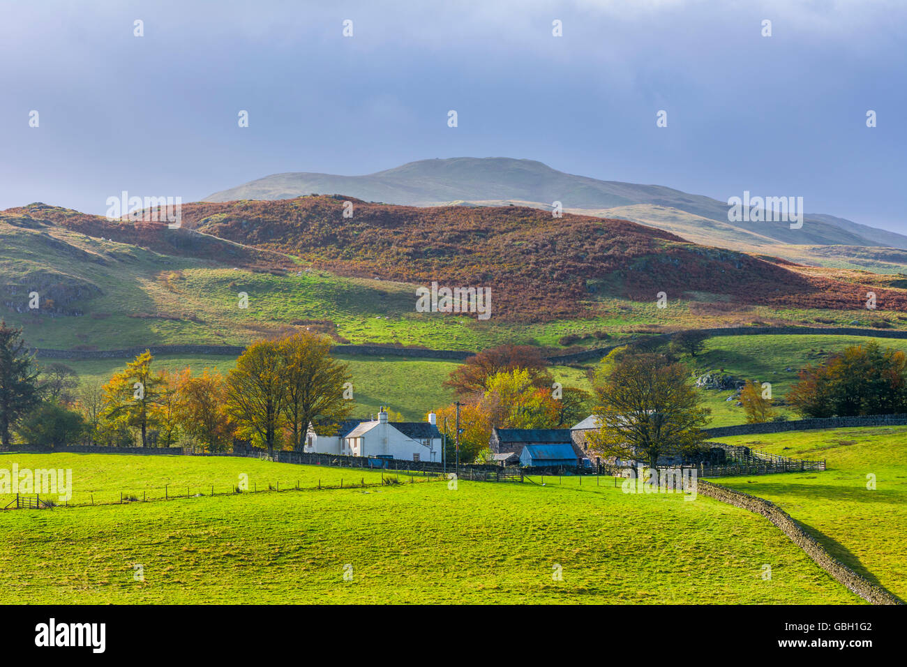 Parkgate Farm at the foot of Round How with Great Dodd fells in the ...