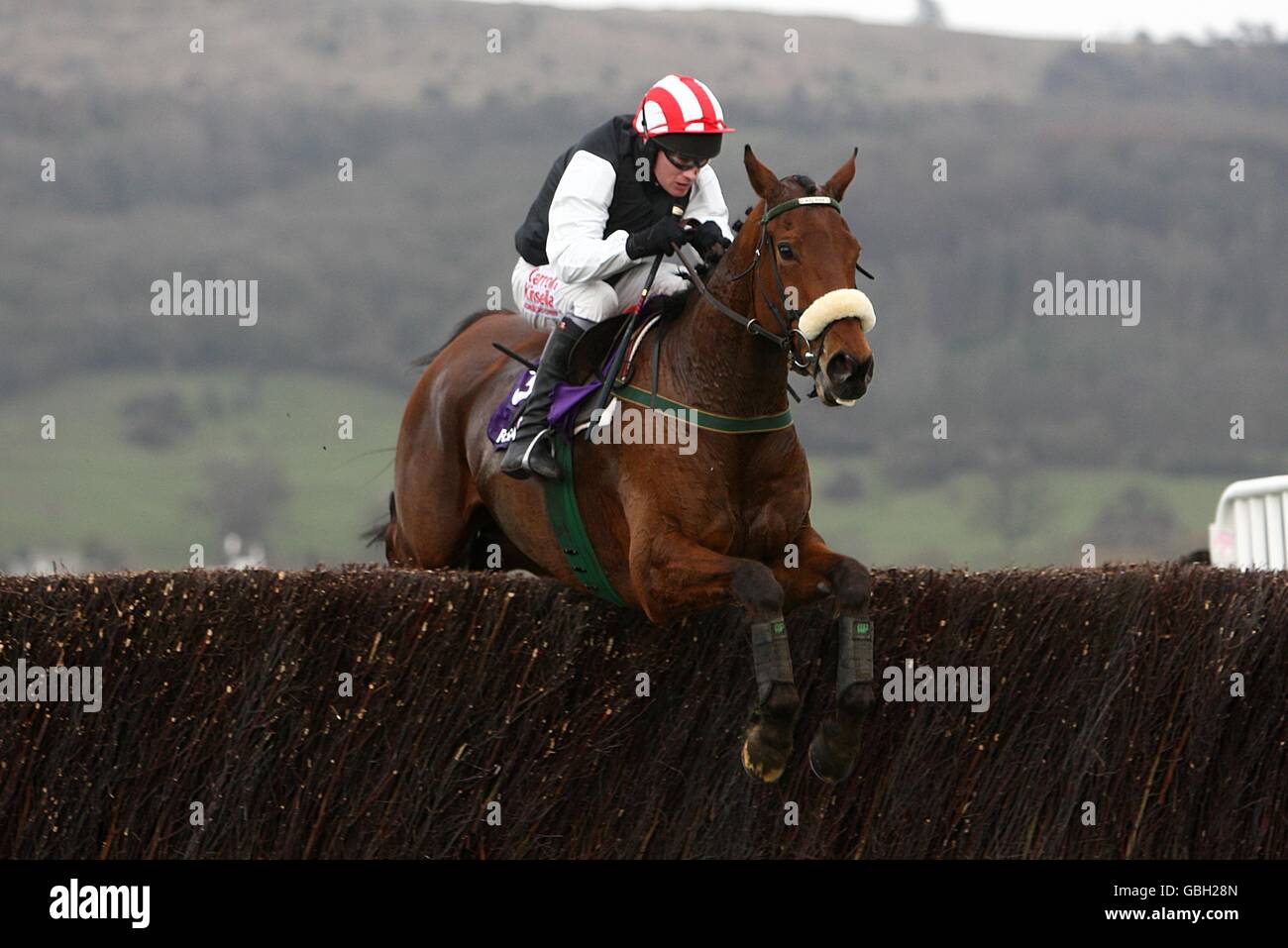 Casey Jones ridden by jockey Paul Carberry in action during the RSA ...