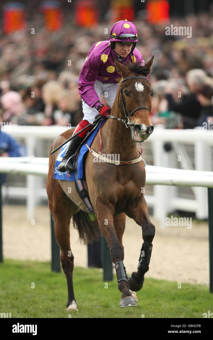 Jockey Robert Thornton on Big Zeb goes to post in the Queen Mother ...