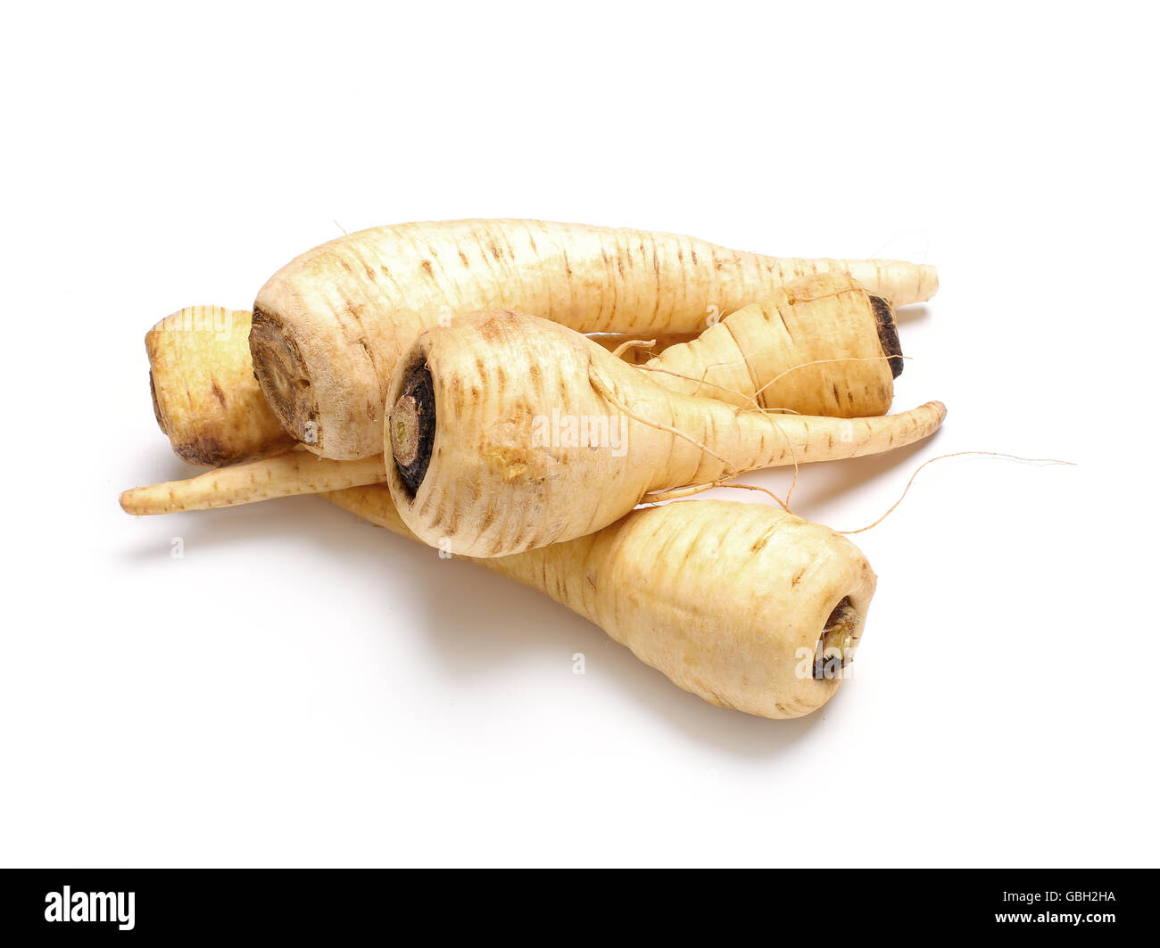 Root details Cut Out Stock Images & Pictures - Alamy
