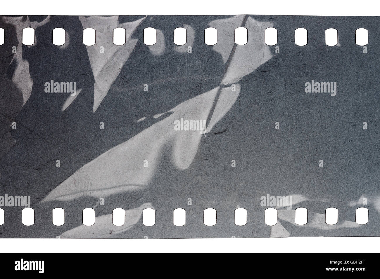 Blank scratched noisy filmstrip isolated on white background Stock ...