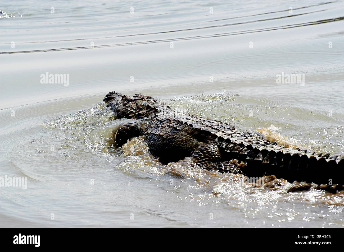 Sabou hi-res stock photography and images - Alamy
