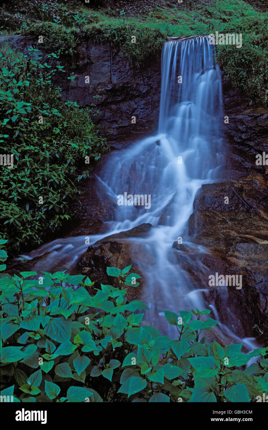 The image of Waterfall in Munnar, Kerala, India Stock Photo - Alamy