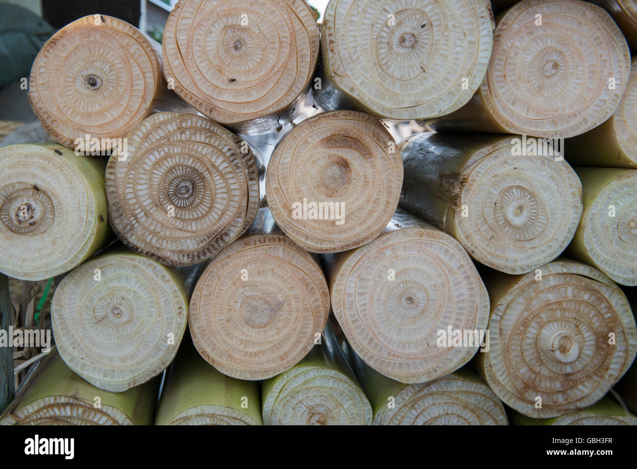 Bamboo at a marketstreet in the City of Mandalay in Myanmar in ...