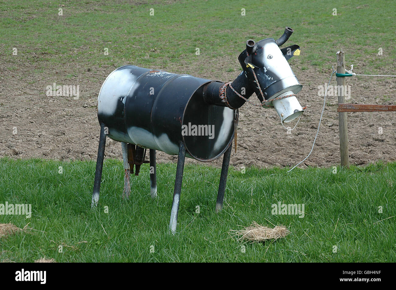 Cattle drum hi-res stock photography and images - Alamy