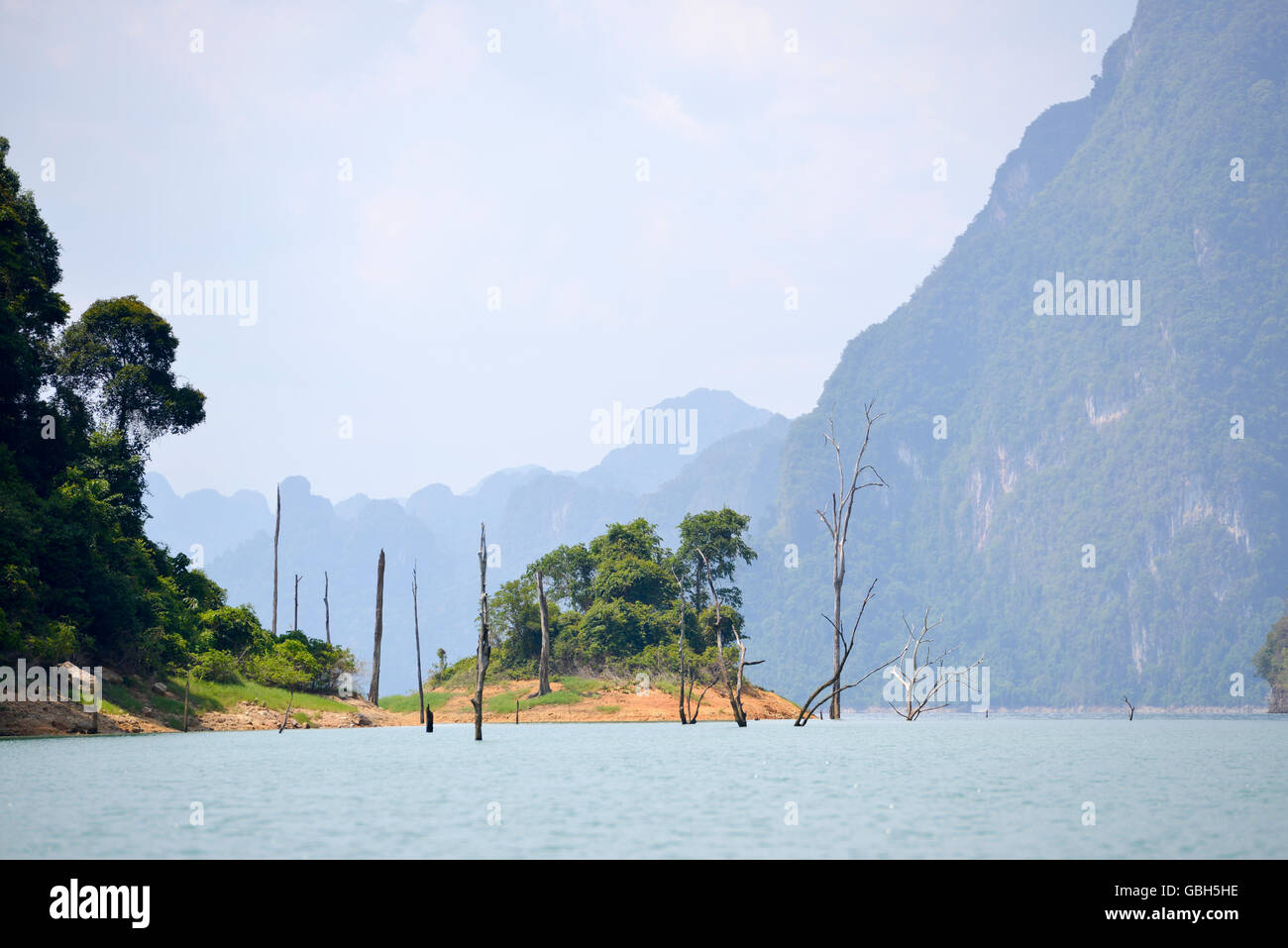 dead tree sticking out of the water from Lake National Parc Khao lak ...