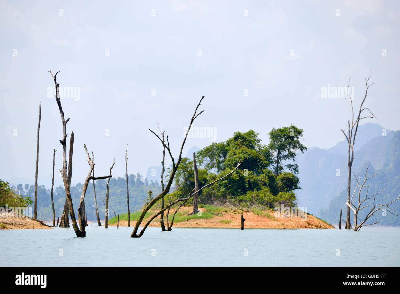 dead tree sticking out of the water from Lake National Parc Khao lak ...