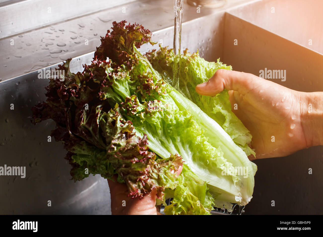 Wash lettuce leaves hi-res stock photography and images - Alamy