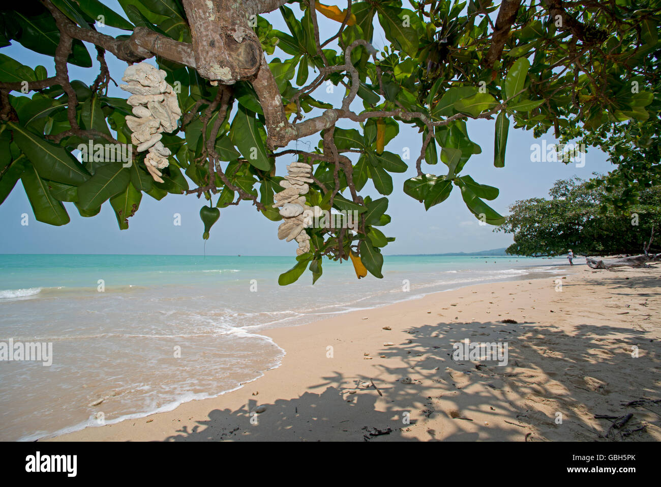 Mobile on the tree hi-res stock photography and images - Alamy