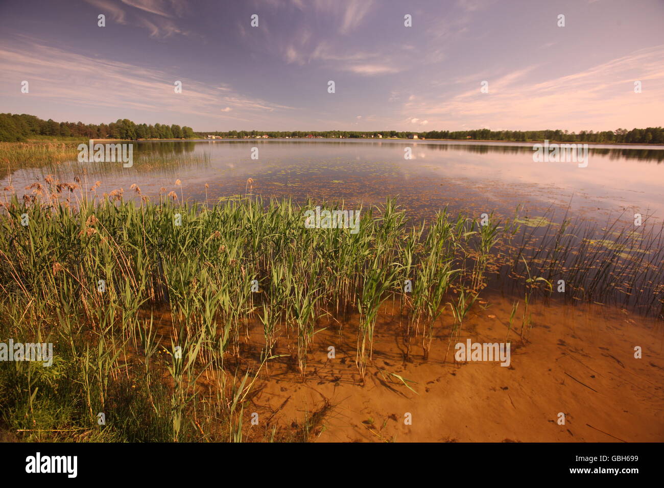 Natur in litauen hi-res stock photography and images - Alamy