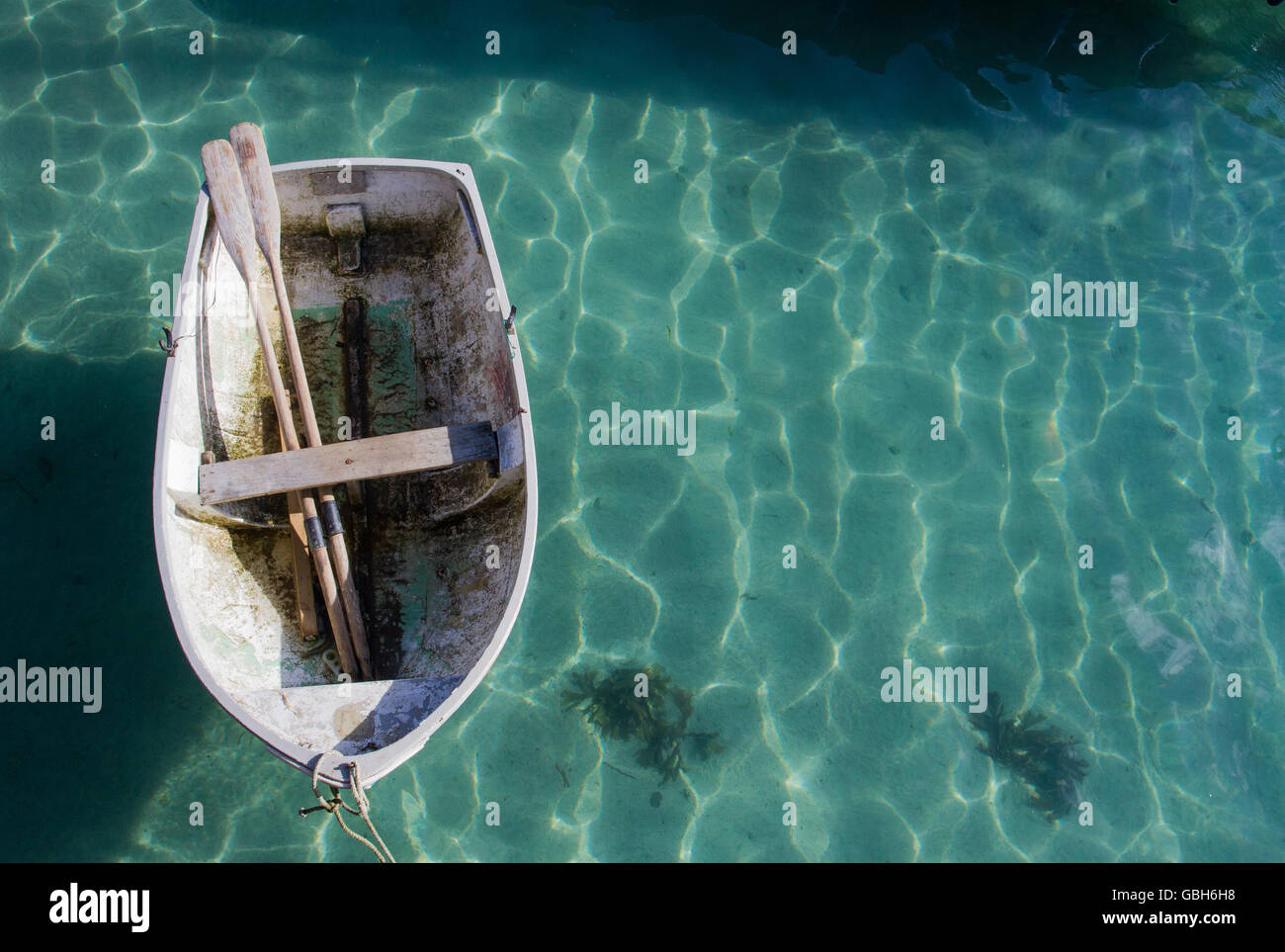 Looking down from above onto a small rowing boat floating on a green ...