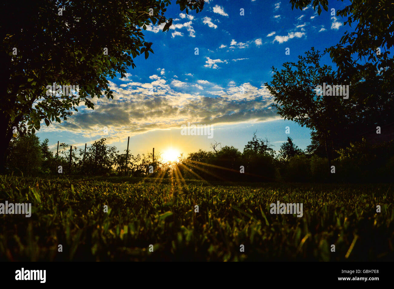 Sunset captured from ground Stock Photo - Alamy
