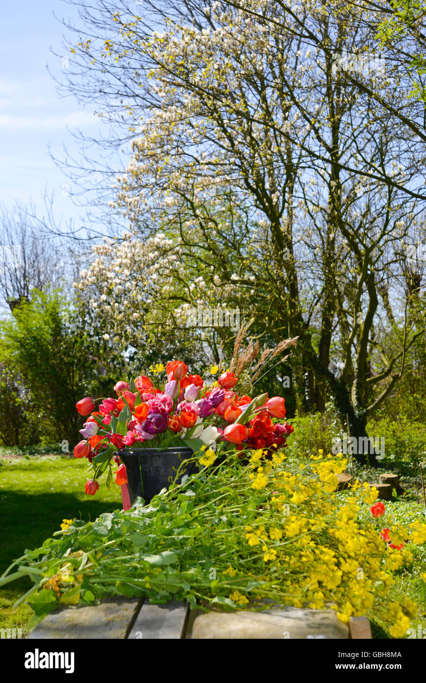 spring flower bouquet with tulips in garden Stock Photo - Alamy