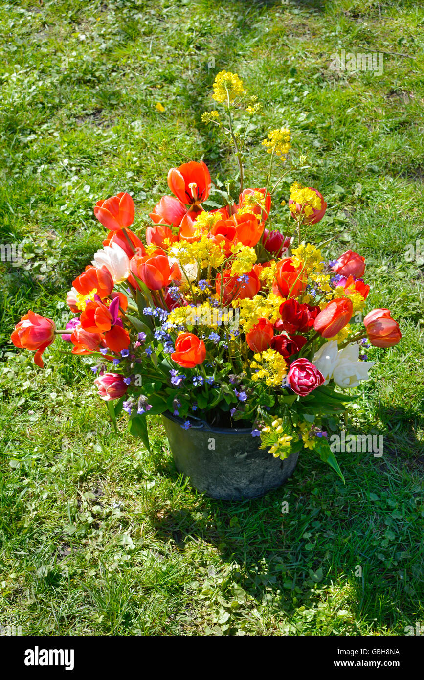 spring flower bouquet with tulips in garden Stock Photo - Alamy