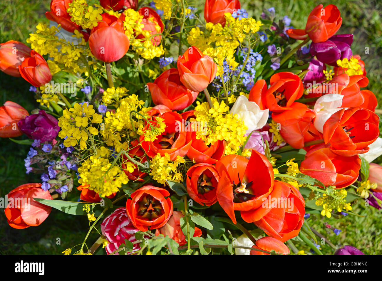 spring flower bouquet with tulips in garden Stock Photo - Alamy